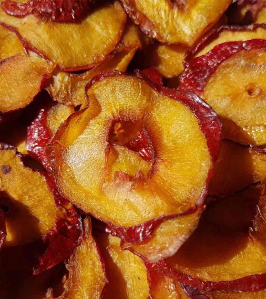 Prunes séchées - Fruits à GoGo
